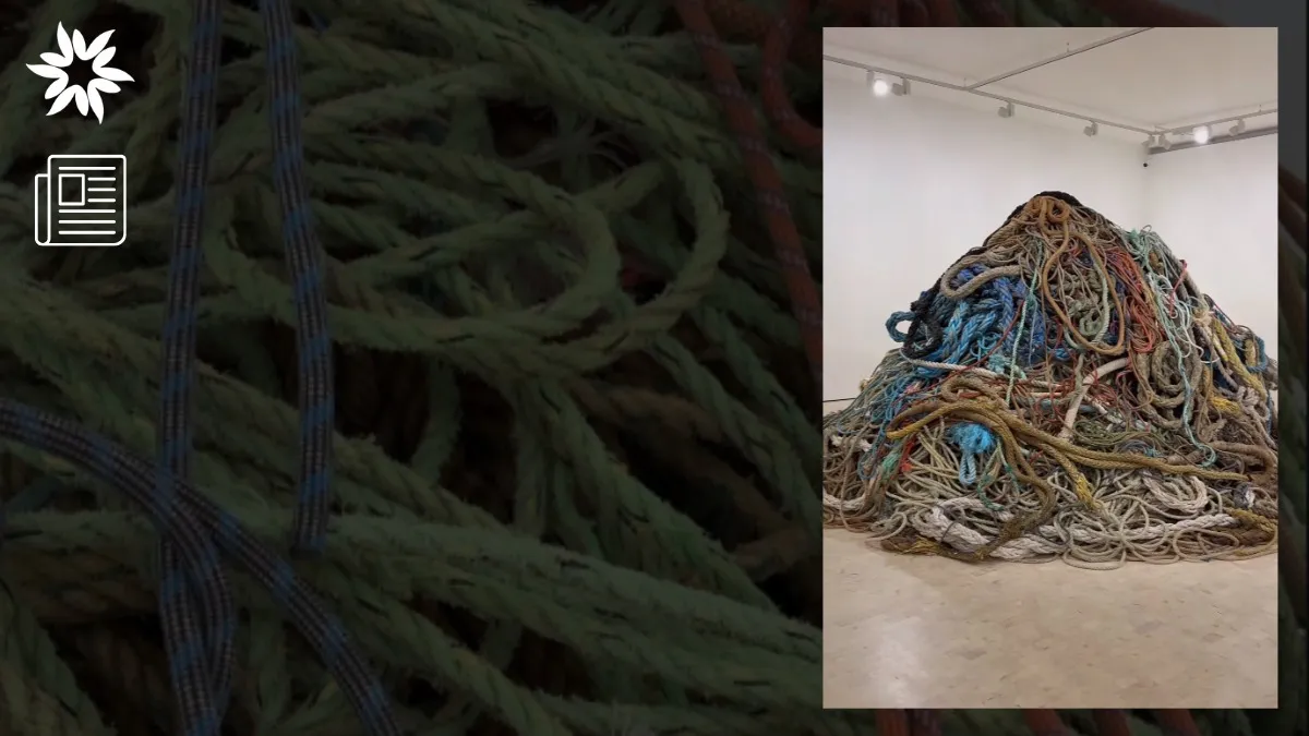 David Shrigley’s £1m Rope Show Challenges Art Market Values